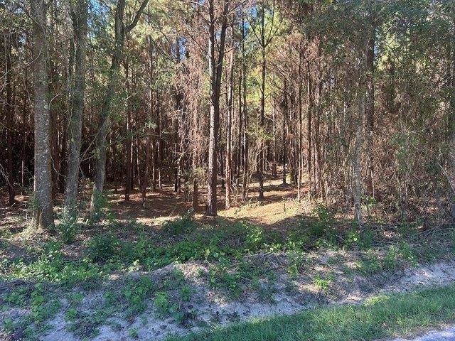 Pine St, Laurel, MS 39443