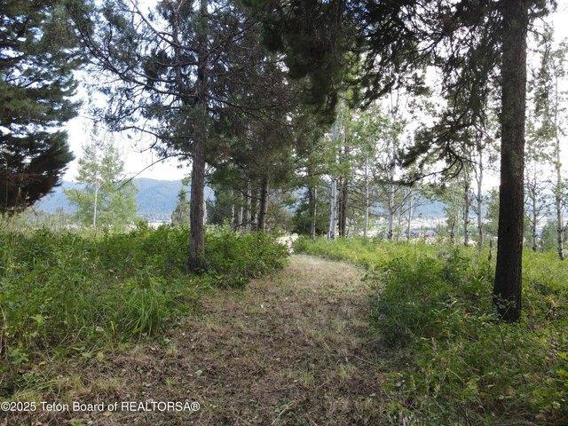 Pine St Lot 4, Alpine, WY 83128
