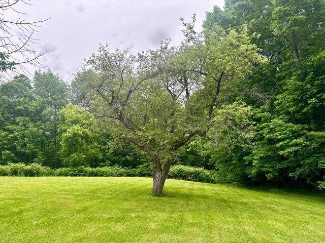 Pine St Lot A, Dover Foxcroft, Plot For Sale