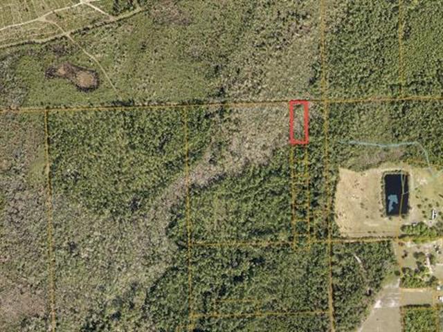 Pine St, Pierson, FL 32180 | MLS #V4942 | Compass