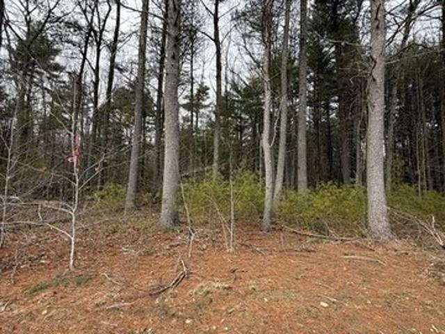 Pine St, Raynham, MA 02767