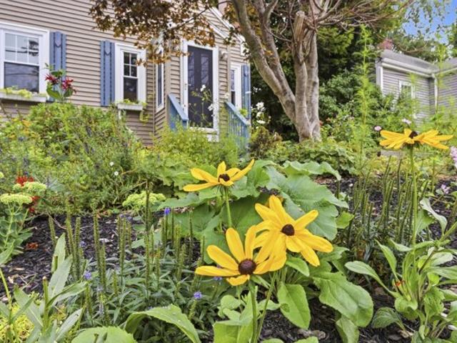 Pine St, South Portland, Home For Sale
