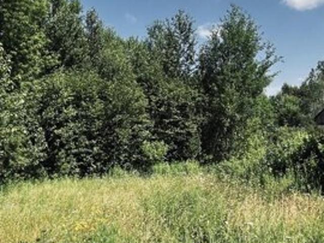 Pine St, Troy, Plot For Sale