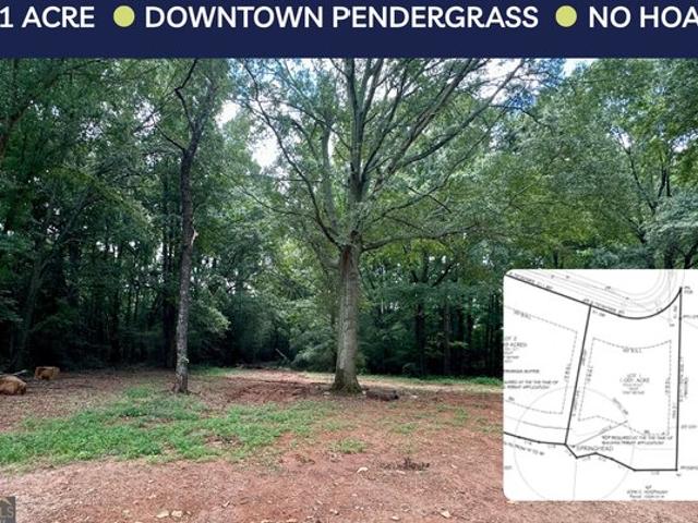 Pine St # 1ACRE, Pendergrass, GA 30567