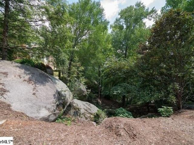 Pine Shadow Ln, Landrum, Plot For Sale