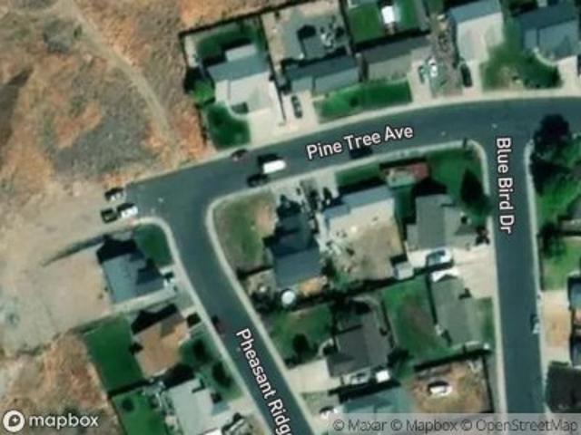 Pine Tree Ave