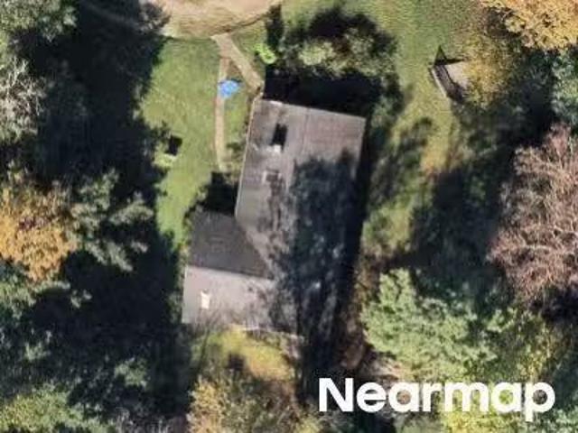 Pine Tree Dr