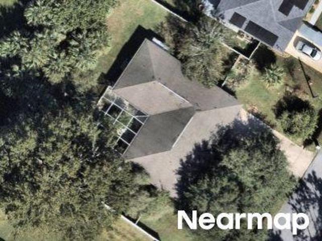 Pine Tree Dr