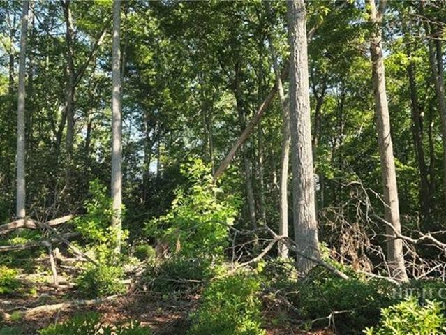 Pine Tree Dr Lot 122, Spruce Pine, NC 28777