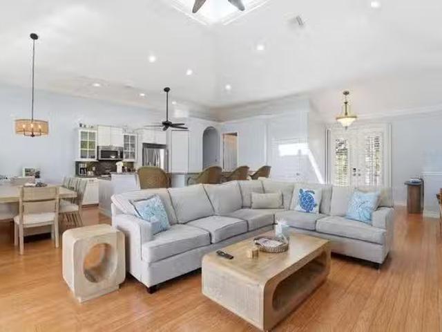 Pine Tree Drive