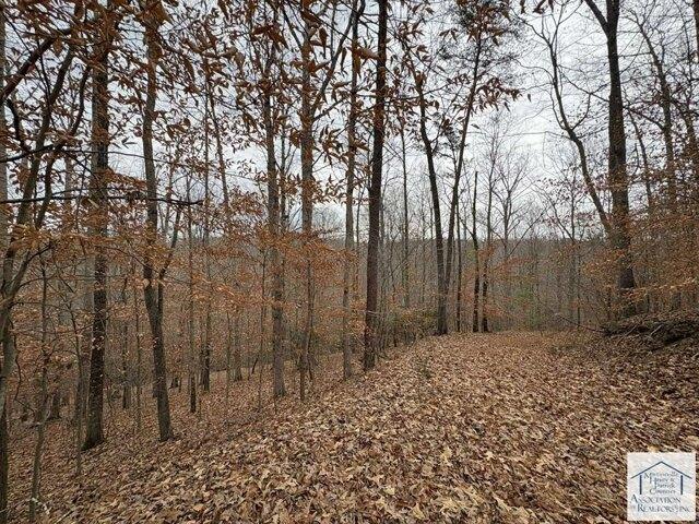 Pine Valley Dr, Bassett, Plot For Sale