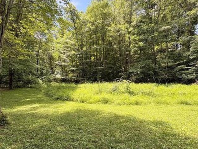Pine View Dr, Pipestem, WV 25979