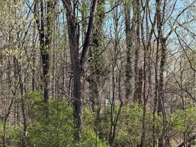 Pine Woods Church Rd, Thomasville, NC 27360