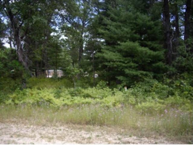 Pinecone Ct, Prudenville, MI 48651