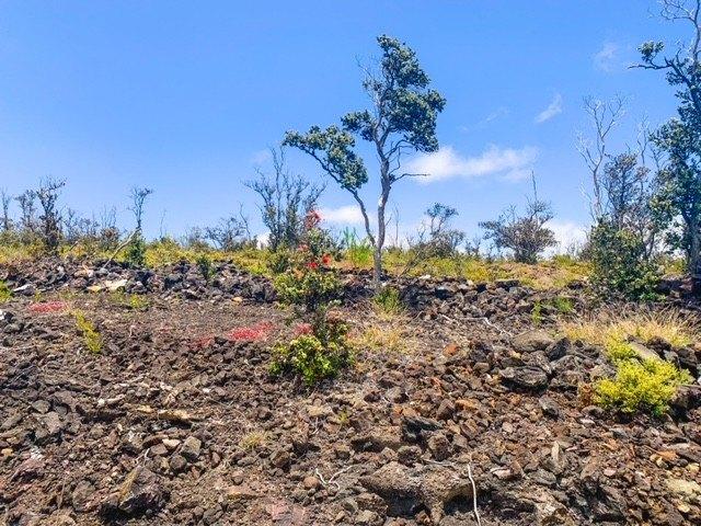 Pineapple Pkwy, Ocean View, HI 96737