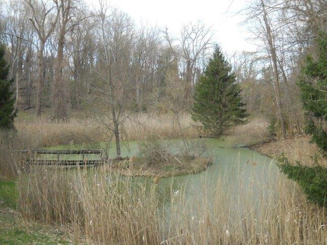 Pinegrove Ave, Rochester, Home For Sale