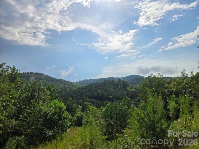 Pinegrove Dr Unit 161, Bostic, NC 28018