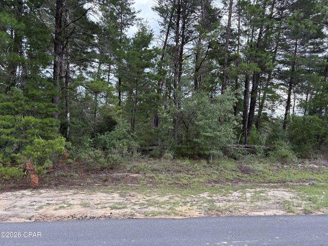 Pinehurst Ave Lot 22, Chipley, FL 32428