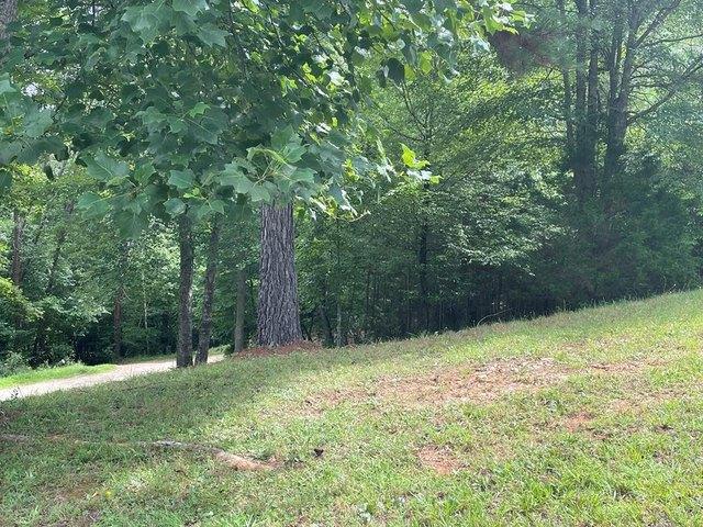 Pinehurst Lot 1, Blairsville, GA 30512
