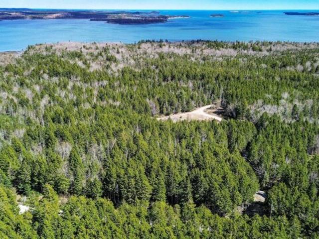 Pineo Rd Lot,roque Bluffs, Plot For Sale