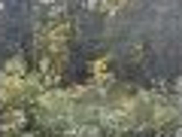 Pineland Rd, Chappells, SC 29037 [Updated 10/7]