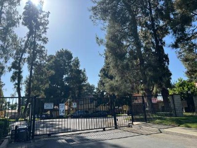 Pinewood Lake Dr