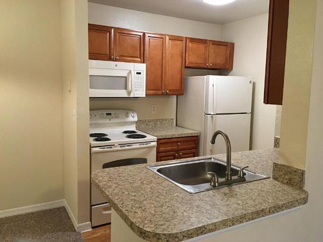 Pinewood Park 1 Bedroom Apartment for Rent at 2351 Pine Brook Dr, Kissimmee, FL 34741