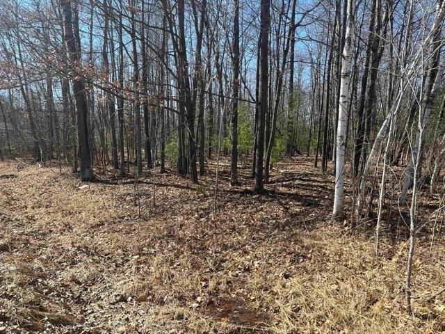 Pineway, Gladwin, MI 48624