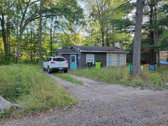 Pinetree St