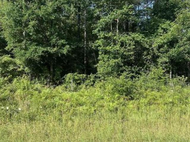 Pineview Church Rd Lot 86, Jay, FL 32565