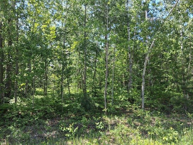 Pineview Dr Lot 76, Mancelona, MI 49659
