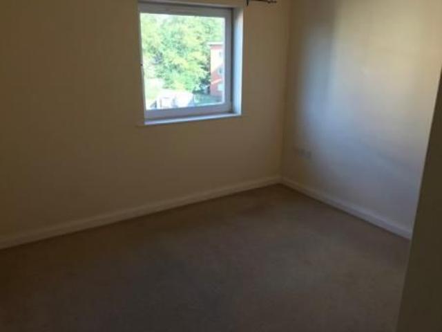 Pineview Gardens, Derby, Littleover, DE23