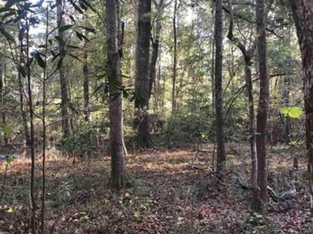 Pineview St, Darlington, SC 29532