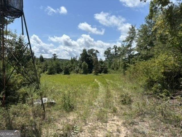 Pineville Rd, Buena Vista, GA 31803