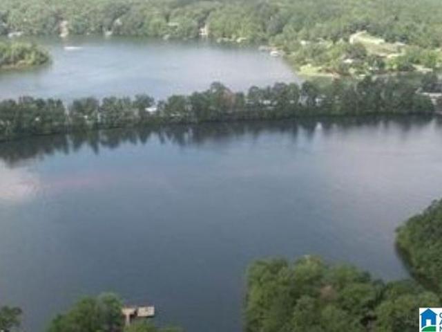 Piney Woods Dr Lot 28, Wedowee, AL 36278