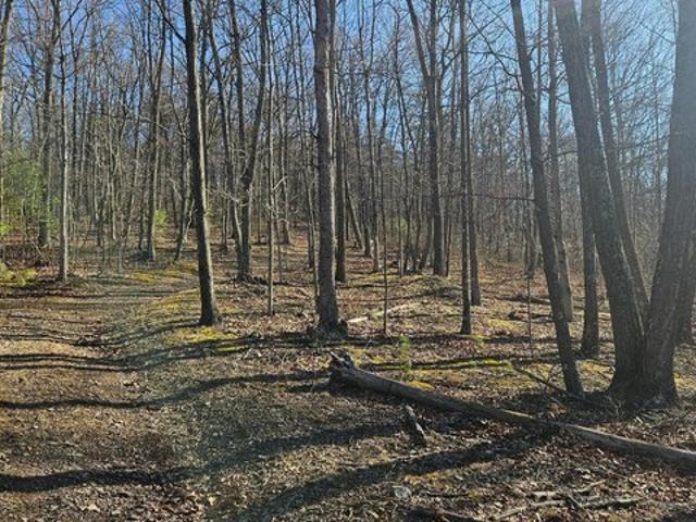 Piney Creek Rd, Clearville, PA 15535