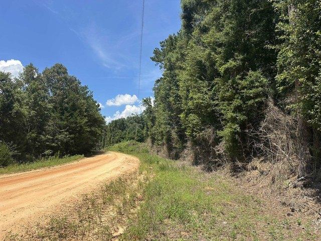 Piney Grove Rd, Opp, AL 36467