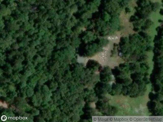 Piney Rd