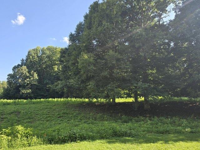 Piney Rd, Dickson, TN 37055