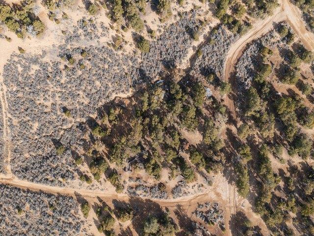 Pinion Lots 636/637 Rdg Lots 636 & 637, Duchesne, UT 84021