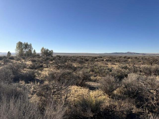 Pinion Lane, TL 9100, Christmas Valley, OR 97641