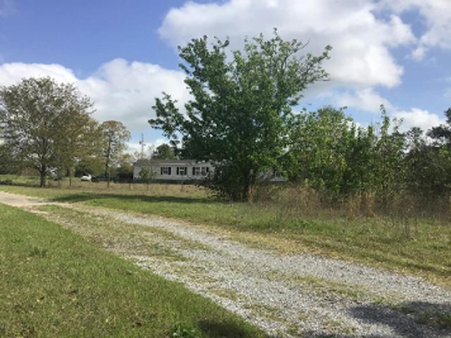 Pink Lilly Rd