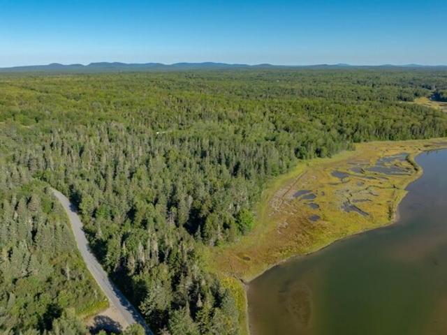 Pinkham Bay Bridge Rd Lot,steuben, Plot For Sale