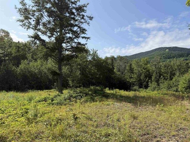Pinkham Rd Lots And,burke, Plot For Sale