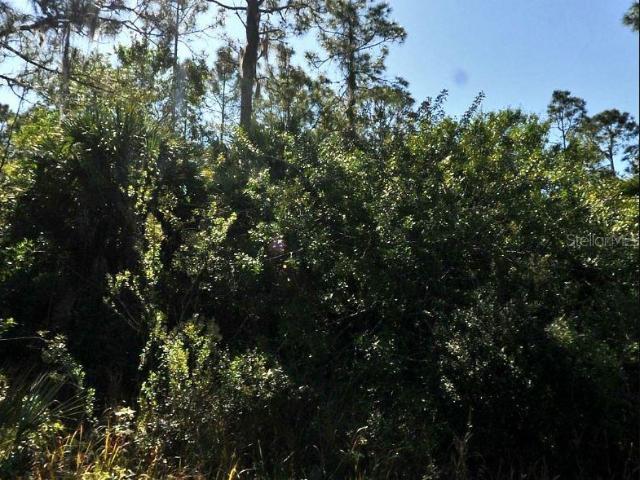 Pinklady Ln Port, North Port, FL 34288 | MLS #O6188