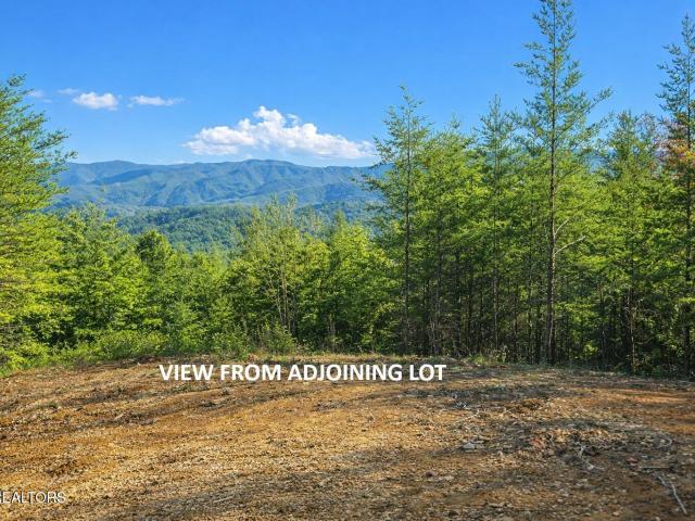Pinnacle View Rd, Sevierville, TN 37876 | MLS #1331 | Compass