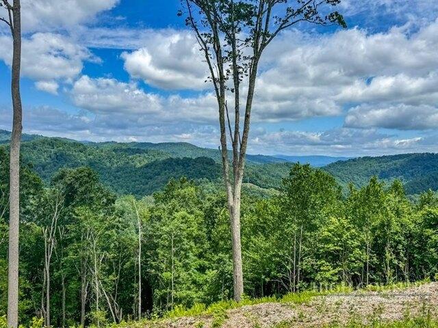 Pinnacle Vw, Elk Park, Plot For Sale