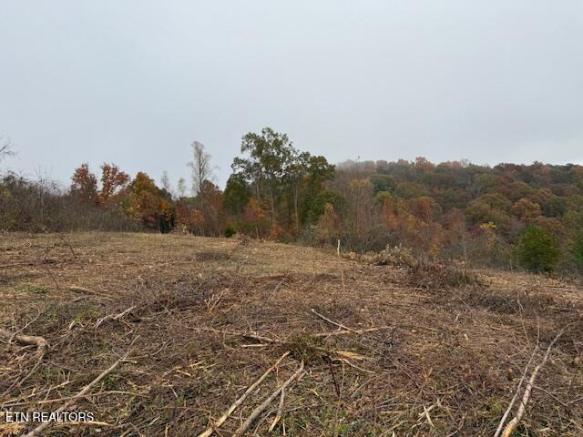 Pinnacle Lane, LaFollette, TN 37766
