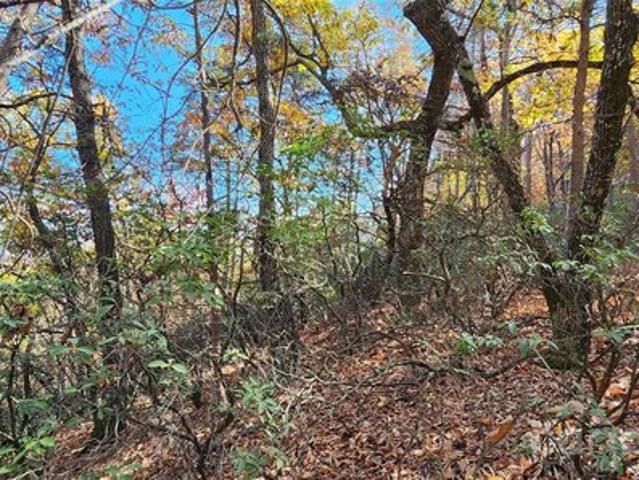 Pinnacle Pkwy Lot 22A, Union Mills, NC 28167