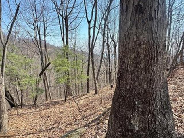 Pinnacle Pkwy, Union Mills, NC 28167